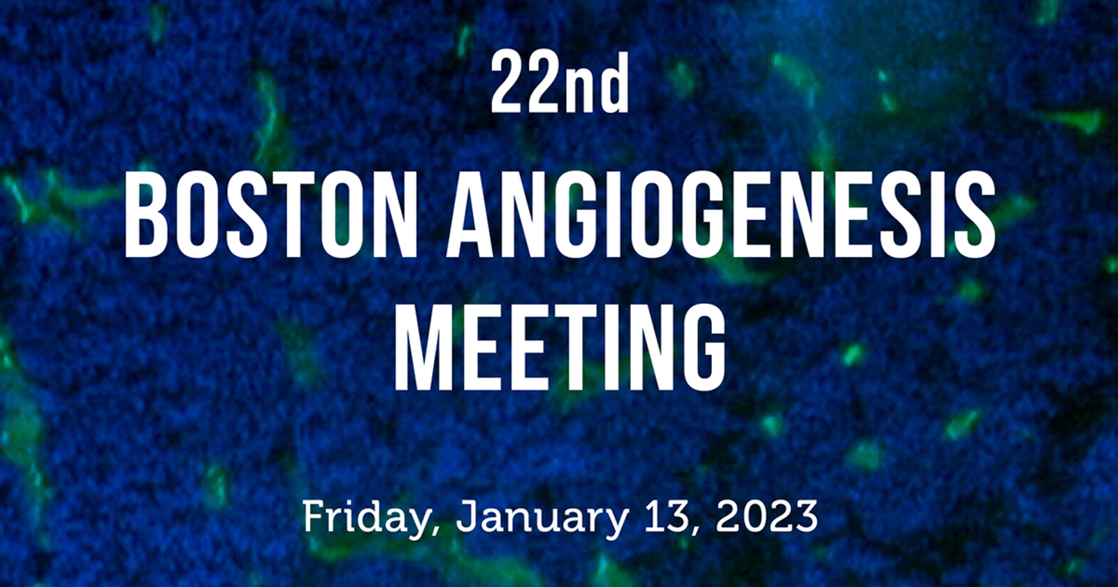 22nd Boston Angiogenesis Meeting | January 13, 2023