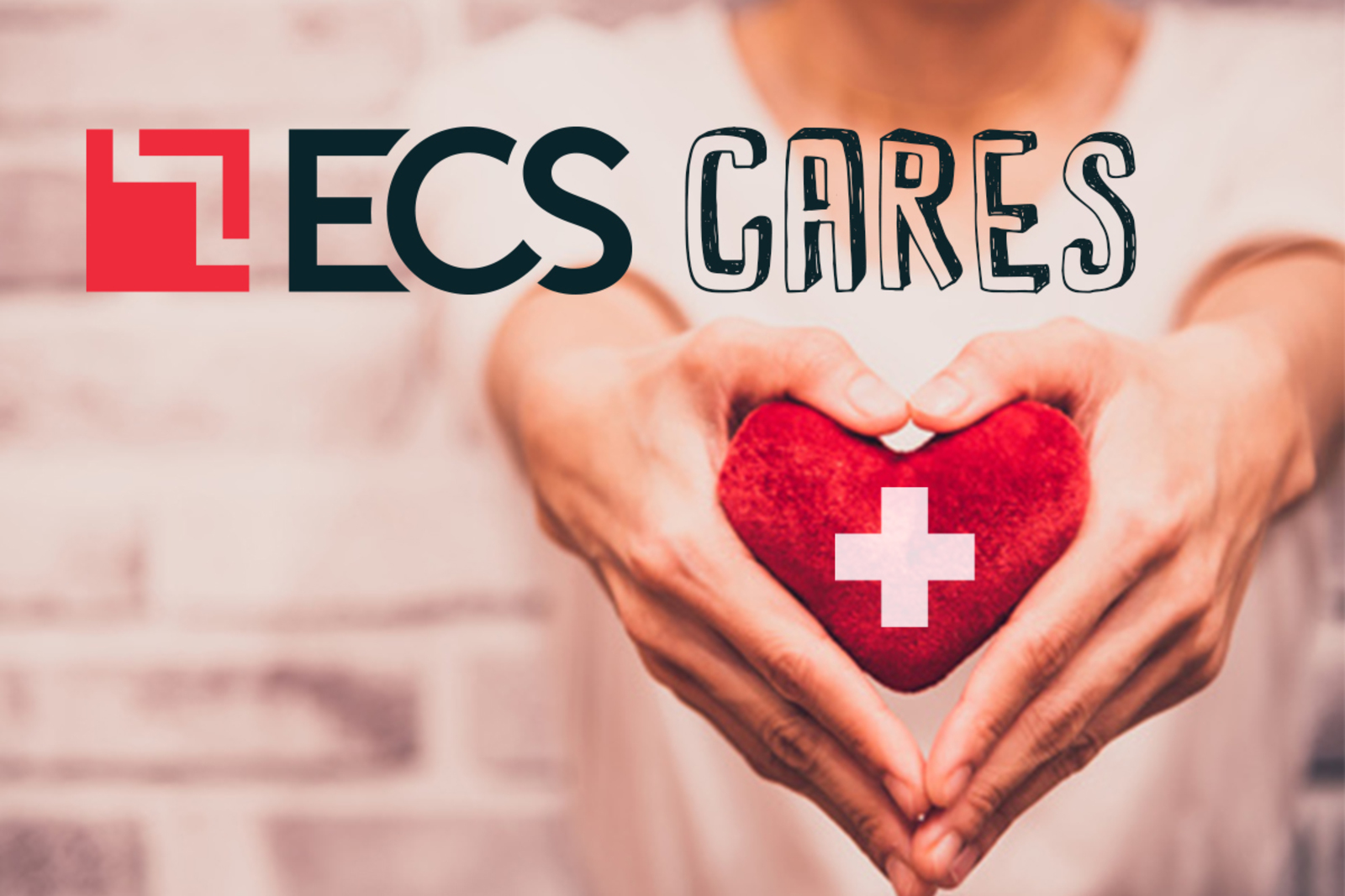 ECS Cares | March 18, 2020 - December 01, 2020