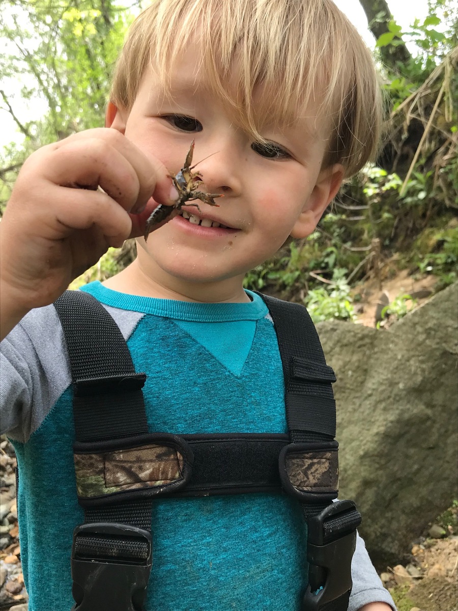 Crawdads and Critters | June 24, 2023