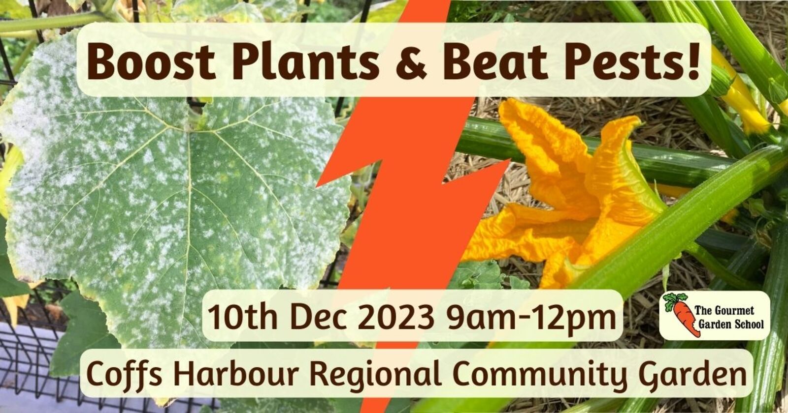 Boost Plants & Beat Pests | December 10, 2023