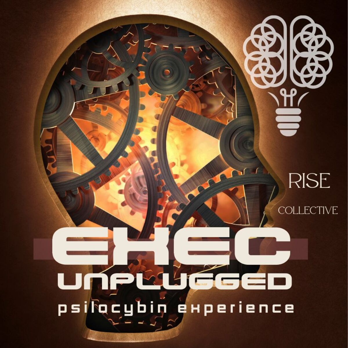 EXEC UNPLUGGED | February 22, 2024 - December 31, 2024