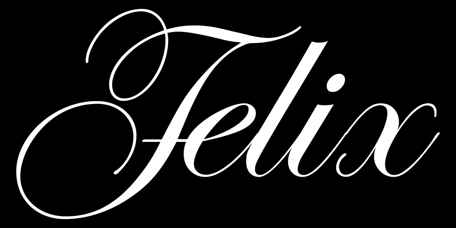 The FELIX Experience | May 17, 2024